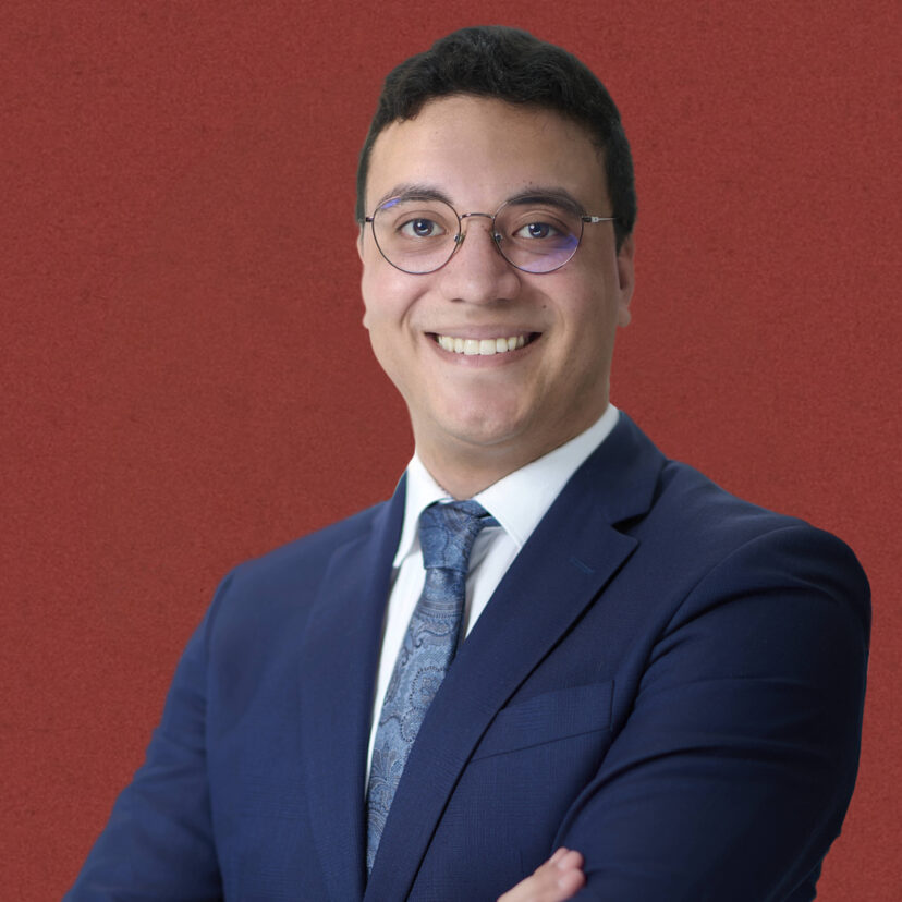 Mathieu Oppermann - Wordstone