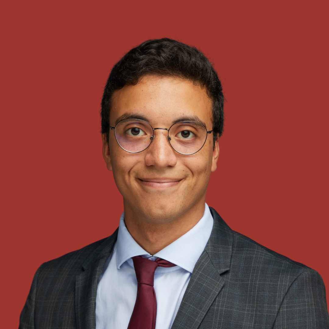 Mathieu Oppermann - Wordstone